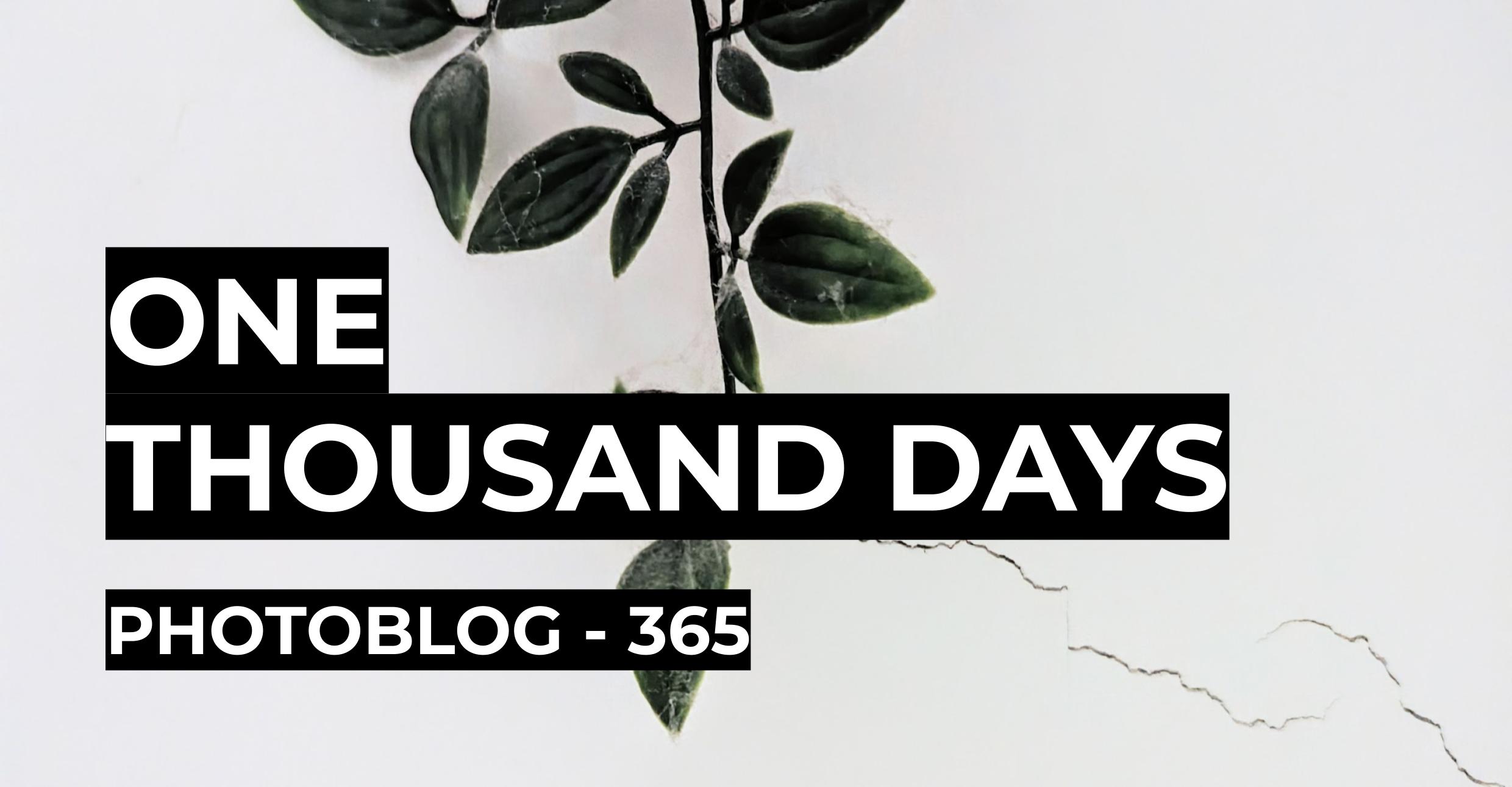 One Thousand Days - thejaymo