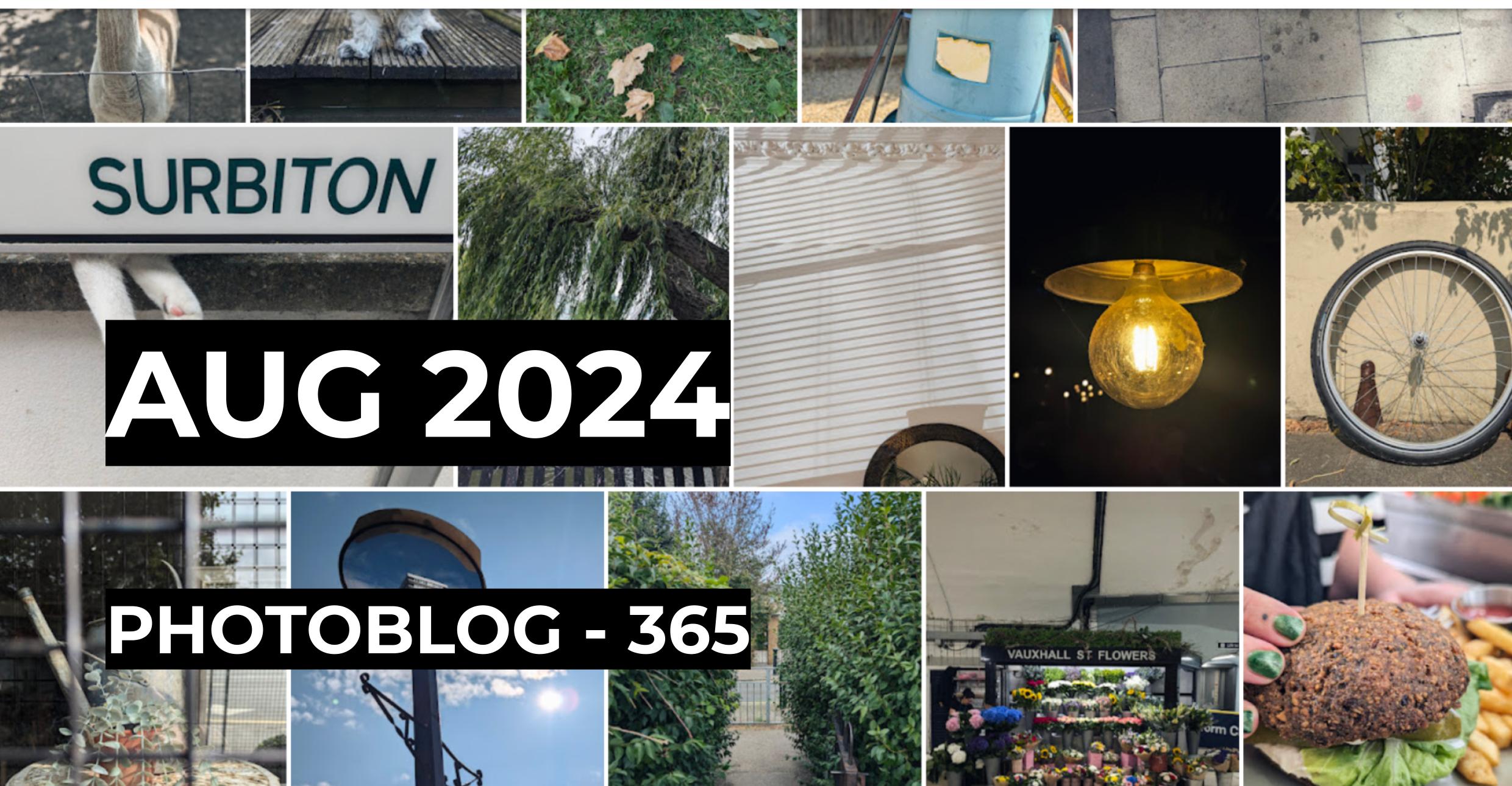 Aug 2024 | Photo 365 - thejaymo